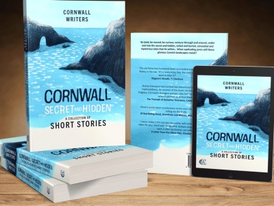 Book Covers – Illustration by Lu